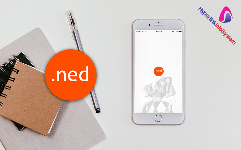 Ned | Our Portfolio